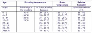Safe Temperature & Ventilation in Brooding Cages with Chick Temp Chart