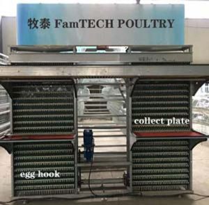 Automatic Egg Collection System with Imported Belt & Vertical Lift Machine