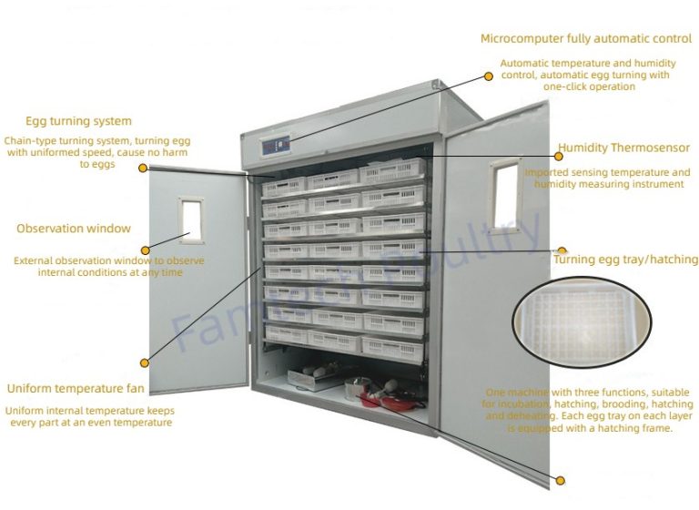 Commercial Egg Incubator | Large Scale Incubator for Poultry