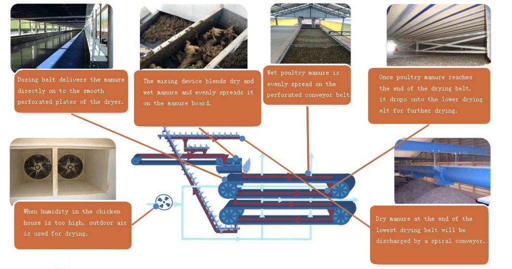 Manure Dryer | Manure Dryer | Chicken Manure Drying Machine